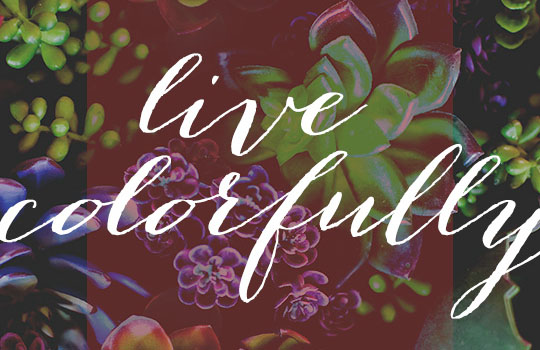 Live Colorfully This Season | Blog | James Hardie